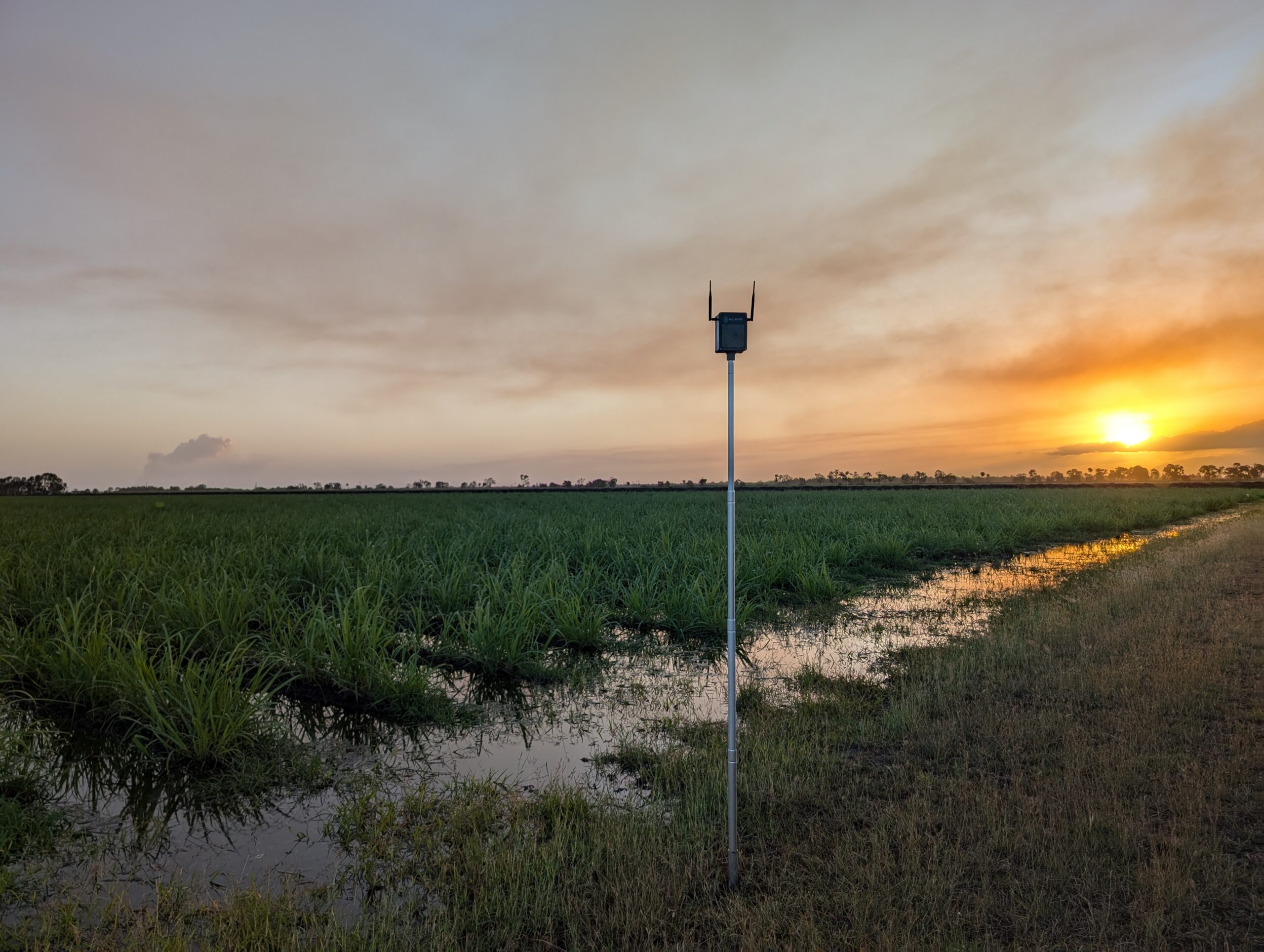 Farming smarter with AI irrigation
