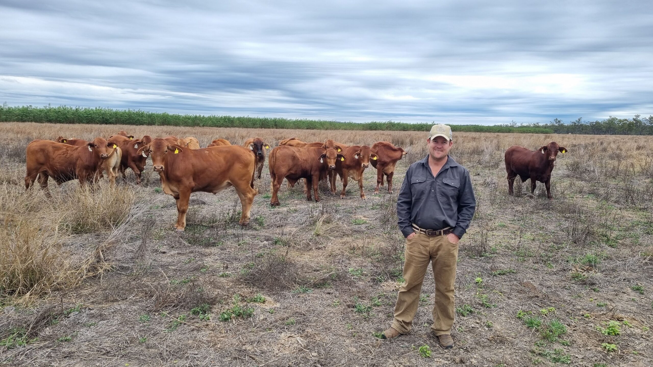 Four new vets join QLD’s regional biosecurity team